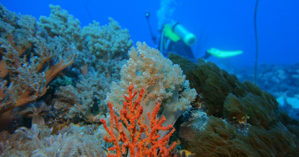 Welche Kipppunkte erreichen wir bei Einhaltung des 2-Grad-Ziels ...